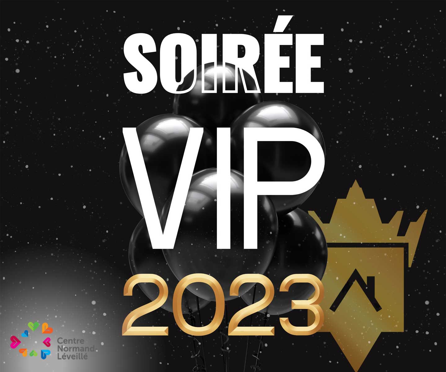 Une deuxième édition de la Soirée VIP | Nouvelles